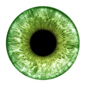 Vienna, VA LASIK Eye Surgery | Liberty Laser Eye Center
